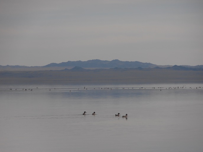 Отгонтэнгэрийн улсын тусгай хамгаалалттай газрын хамгаалалтын захиргаа